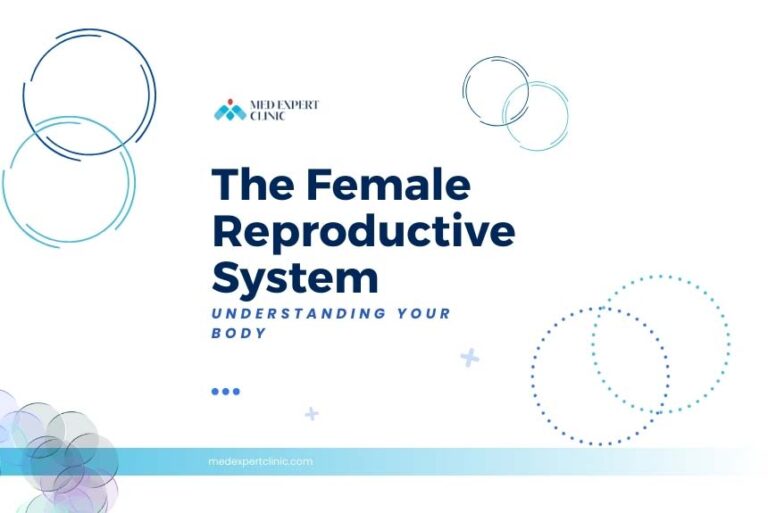 The Female Reproductive System: Understanding Your Body - Med Expert Clinic
